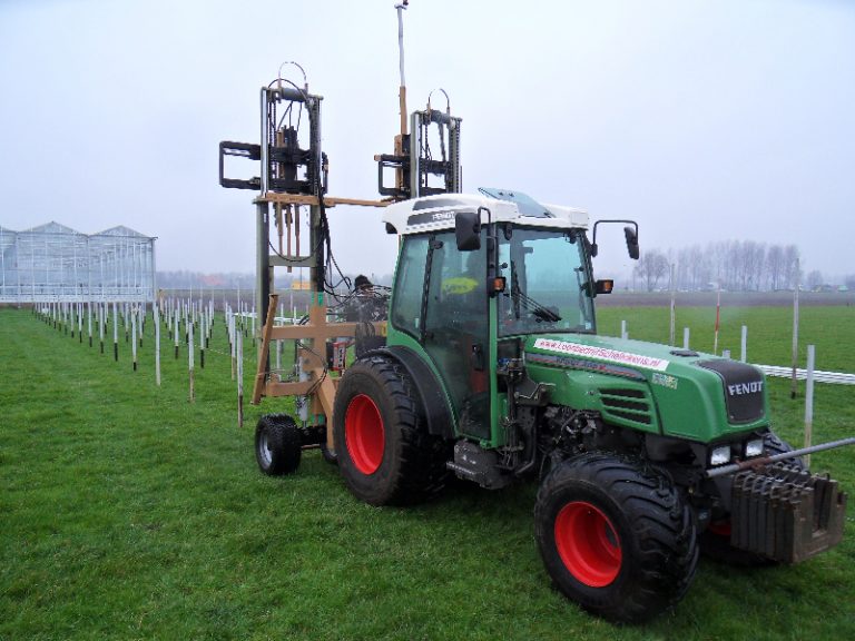 Aardbeienstellingen: optimaliseer uw aardbeienteelt